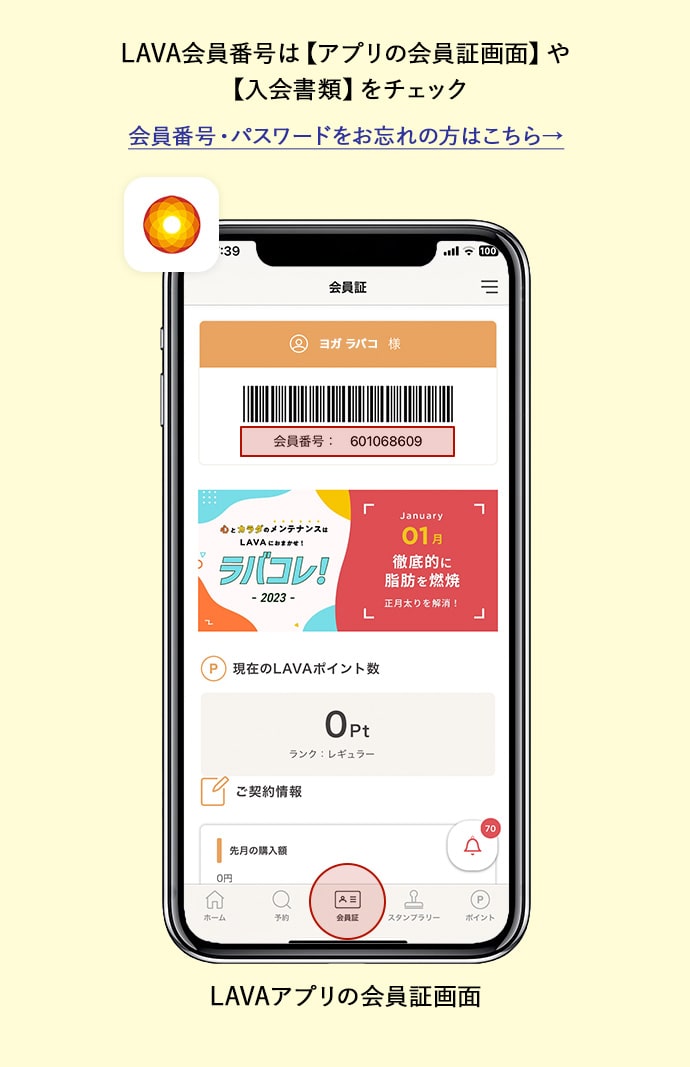 LAVA公式オンラインストアLapre（ラプレ）【Lapre】後追いスターターセット: LAVA公式オンラインストアLapre（ラプレ）